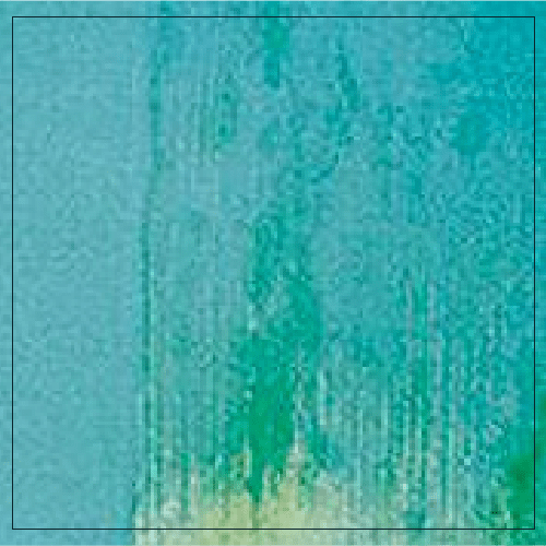 Common Paint Problems - CPCA