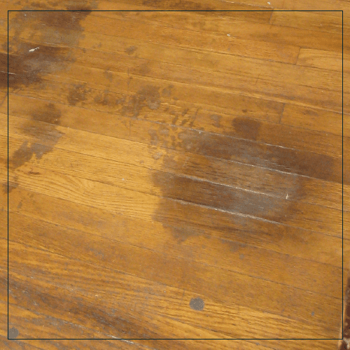 Common Paint Problems - CPCA